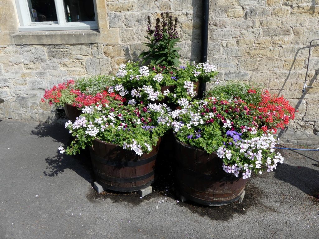 Photos | The Isle Of Wedmore