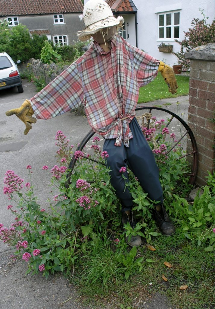 Photos | The Isle Of Wedmore